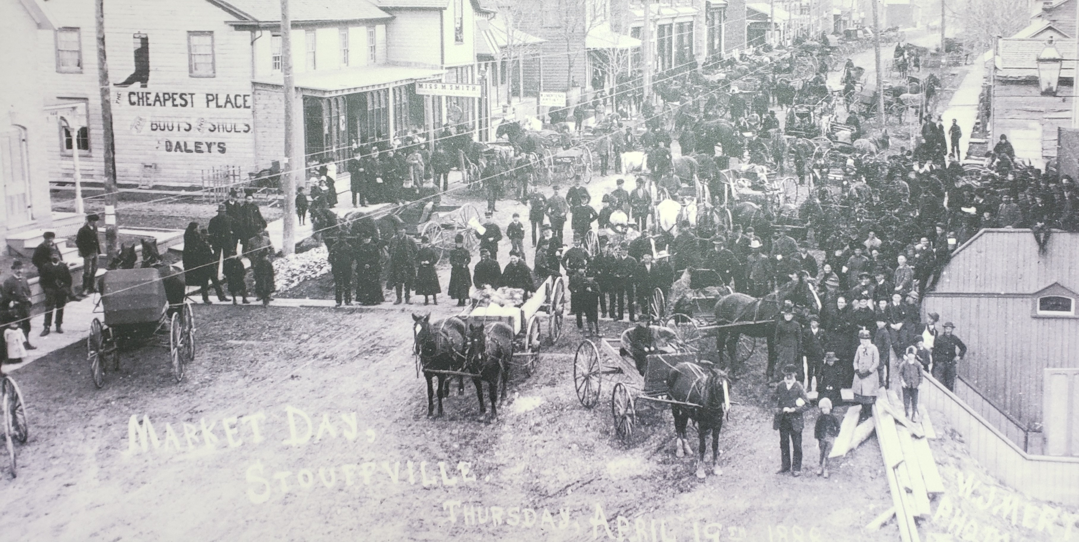 20190602_095107-1 – HorseAddict