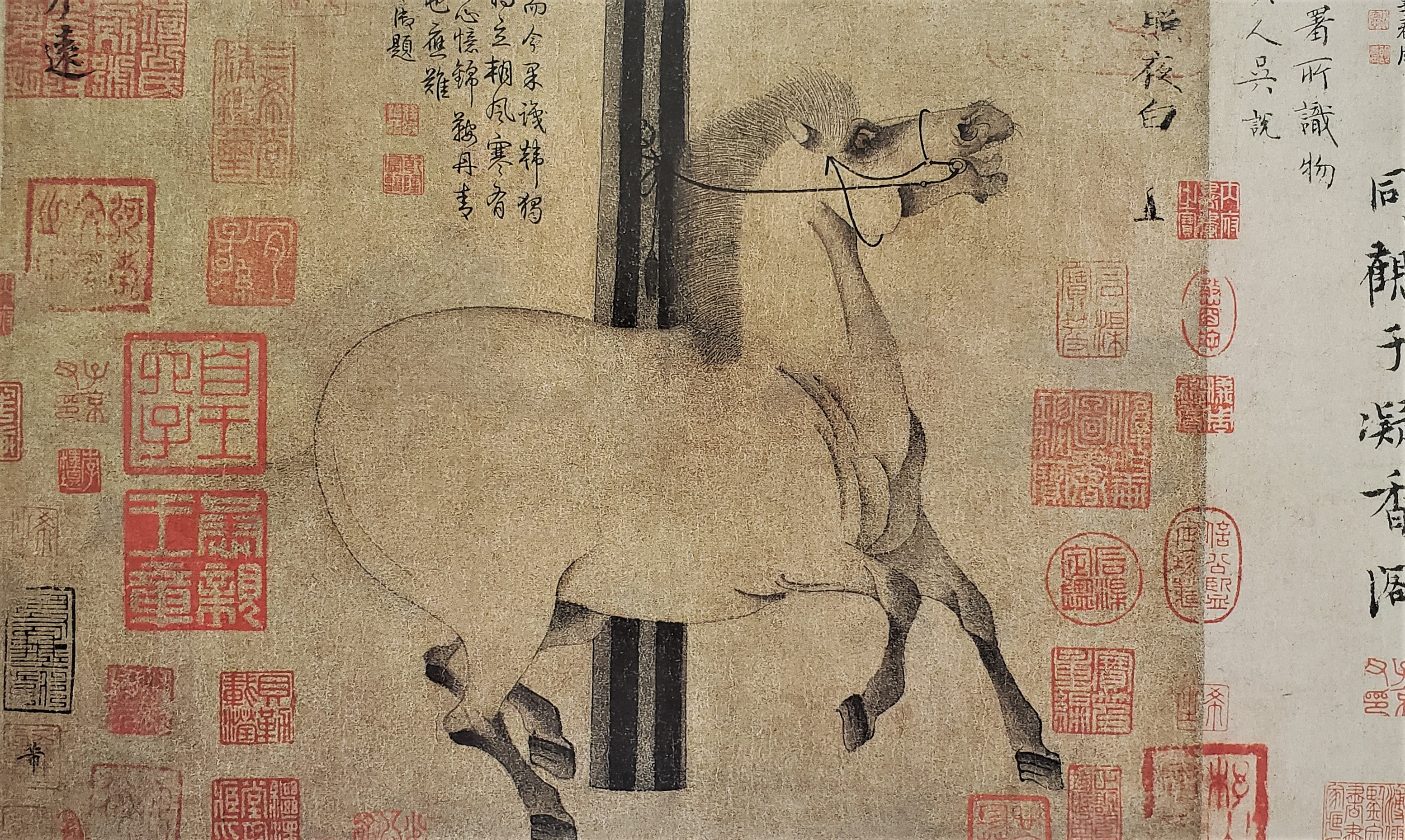 20190623_134546 – HorseAddict