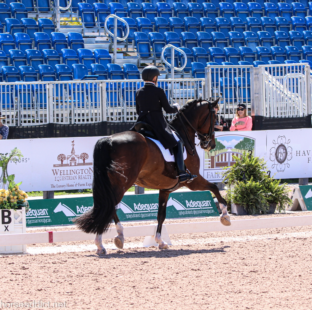 gps-13-of-8 – HorseAddict